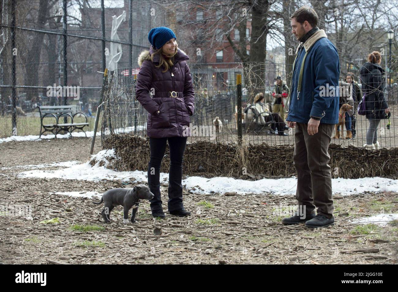 RAPACE,HARDY, THE DROP, 2014 Stock Photo - Alamy