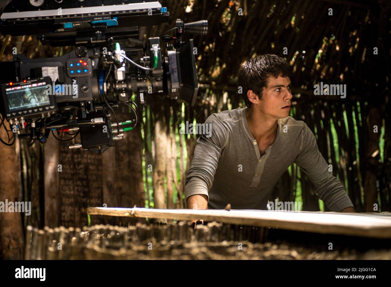 DYLAN O'BRIEN, THE MAZE RUNNER, 2014 Stock Photo - Alamy