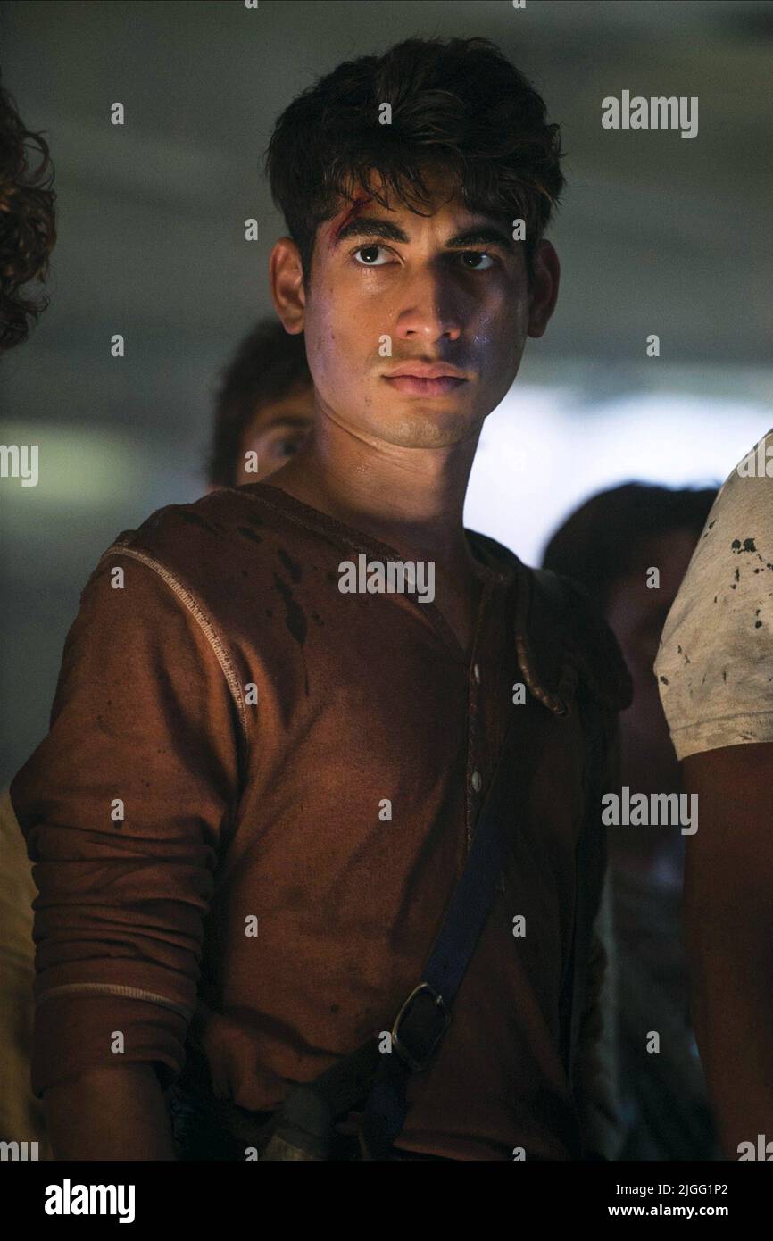 ALEXANDER FLORES, THE MAZE RUNNER, 2014 Stock Photo - Alamy
