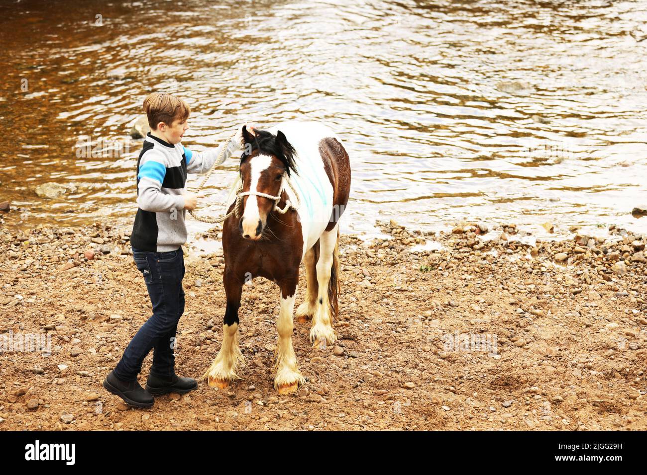 A young boy leading a pony next to the River Eden, Appleby Horse Fair ...