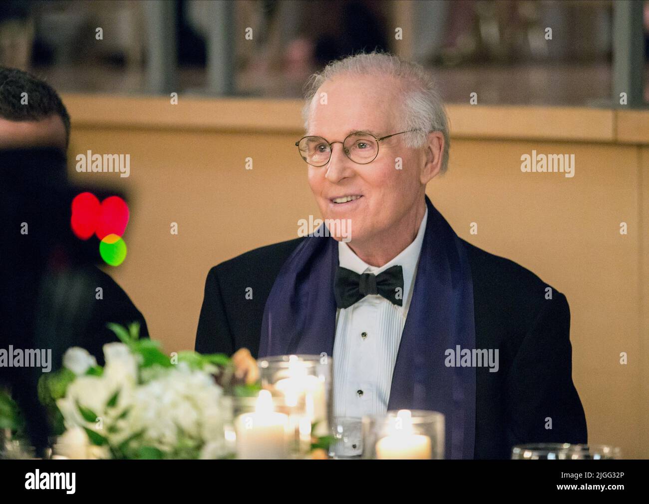 CHARLES GRODIN, WHILE WE'RE YOUNG, 2014 Stock Photo - Alamy