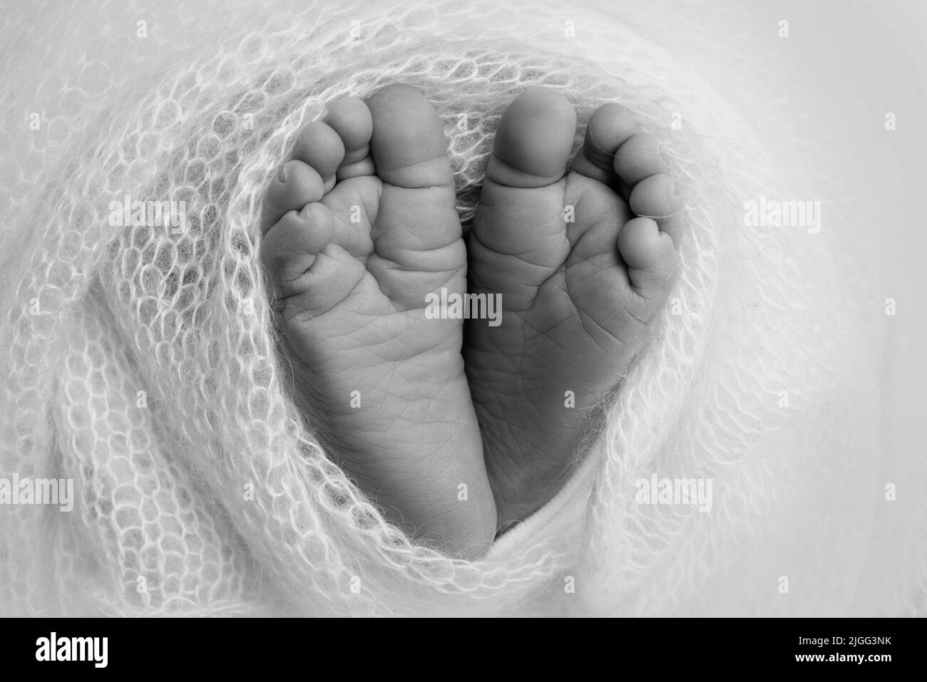 The tiny foot of a newborn. Soft feet of a newborn in a blanket. Close ...