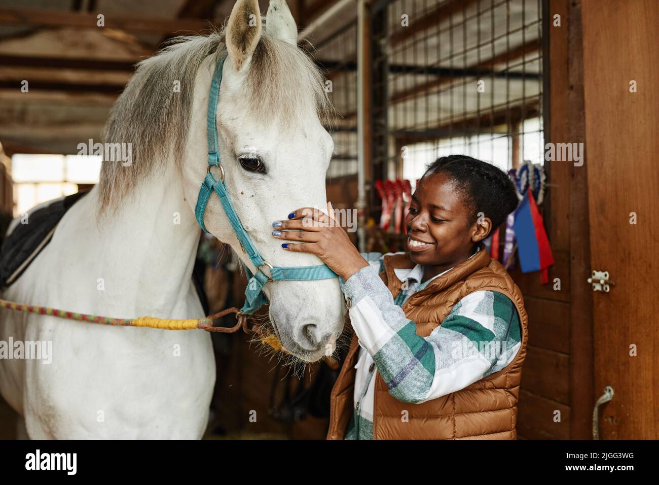 Portrait of young African American woman stroking white horse in ...