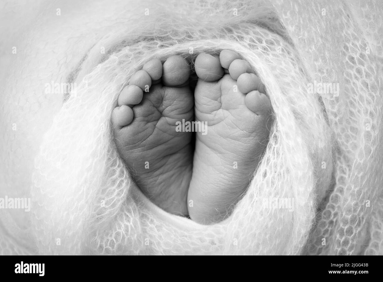 The tiny foot of a newborn. Soft feet of a newborn in a blanket. Close ...