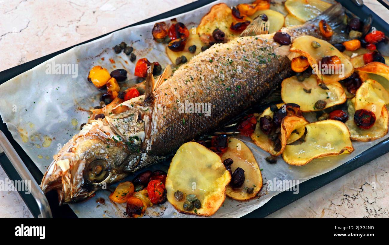 mediterranean style cooking, oven baked whole atlantic sea bass fish on ...