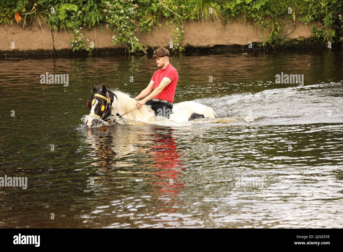 A young man riding his horse in the River Eden, Appleby Horse Fair ...