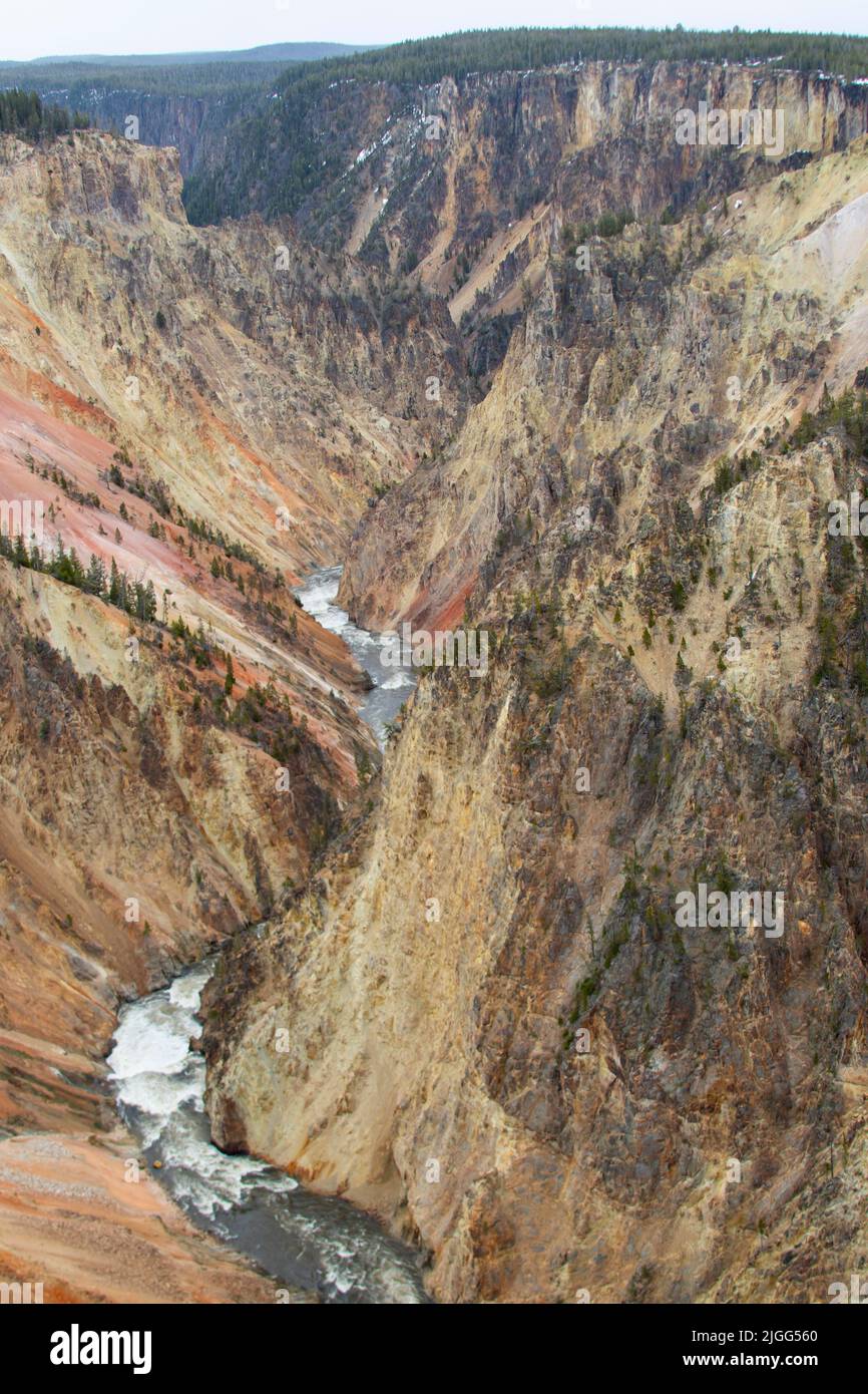 Grand Canyon of the Yellowstone below Lower Yellowstone Falls ...