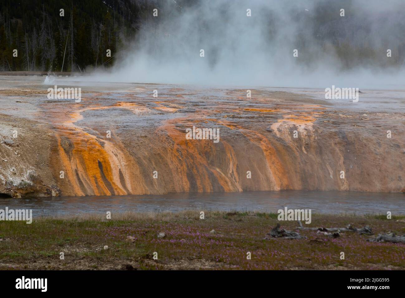 Colorful patterns of Iron Creek Spring in Black Sand Basin of ...