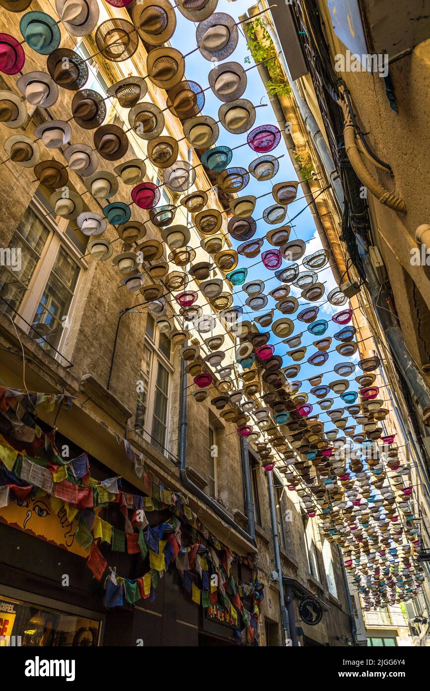 The shopping street Rue du Vieux Sextier in Avignon is covered with ...