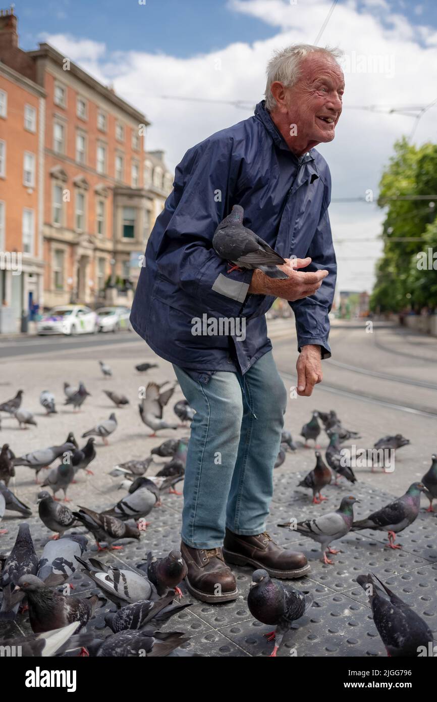 Pigeon Man in Dublin, Ireland Stock Photo - Alamy