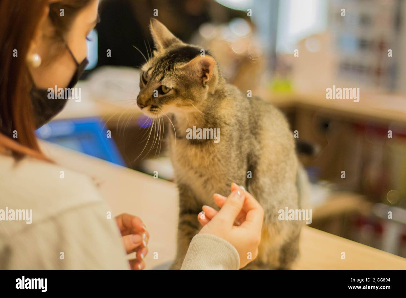 Woman sitting on counter hi-res stock photography and images - Alamy