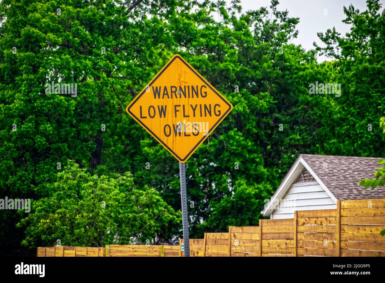 Warning Low Flying Owls sign in neighborhood with leafy trees behind ...