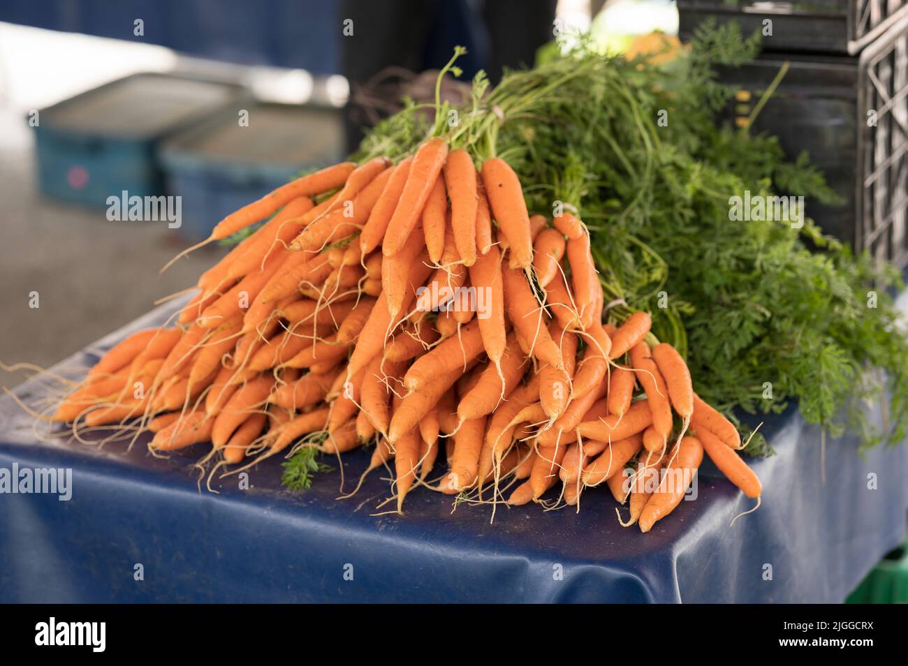 British vegetable farmers hi-res stock photography and images - Alamy