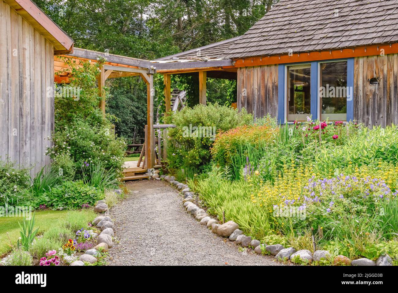 Flowers blooming along a garden path at Keremeos Grist Mill and Gardens ...