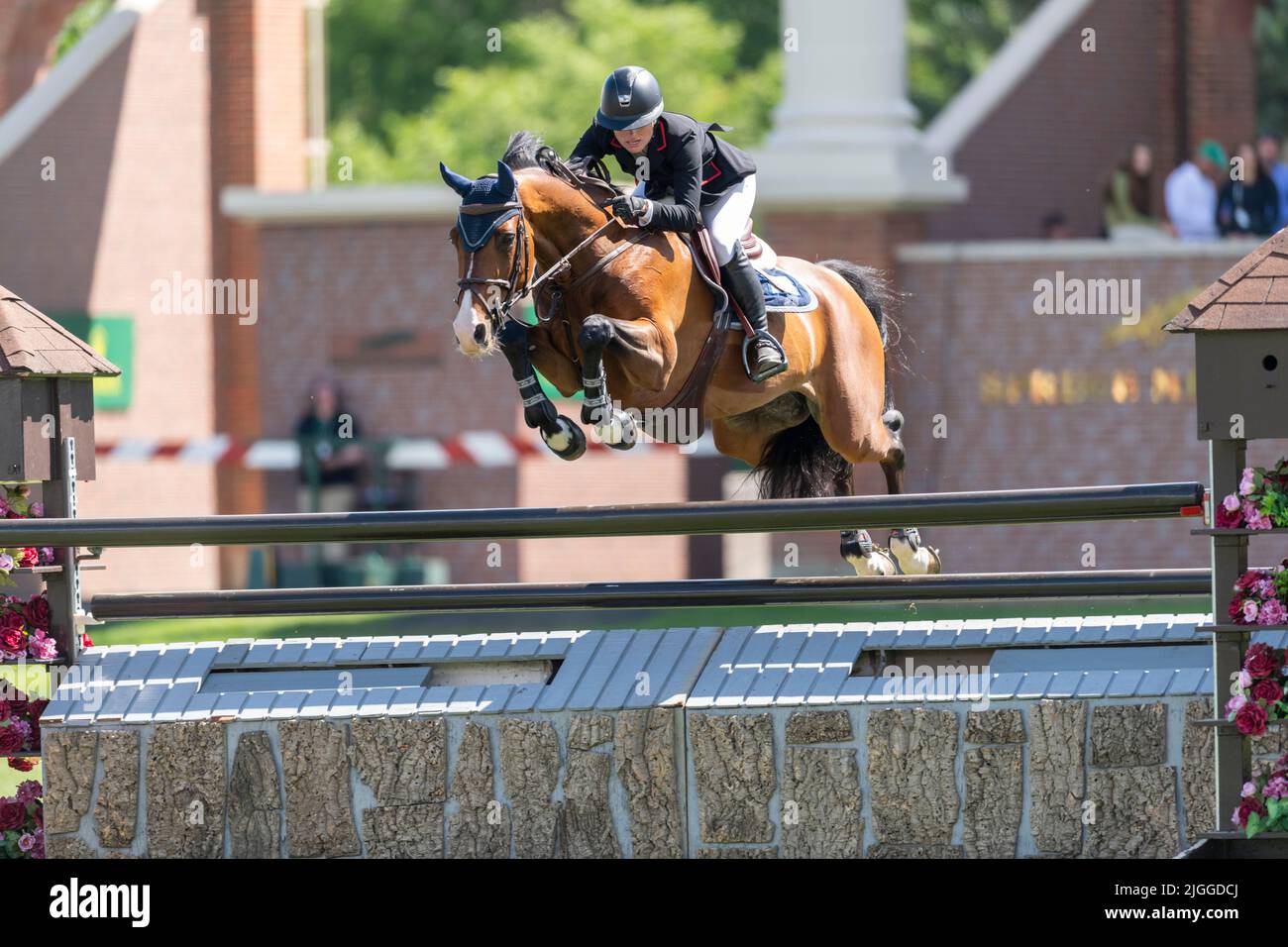 Horse vanessa mannix hi-res stock photography and images - Alamy