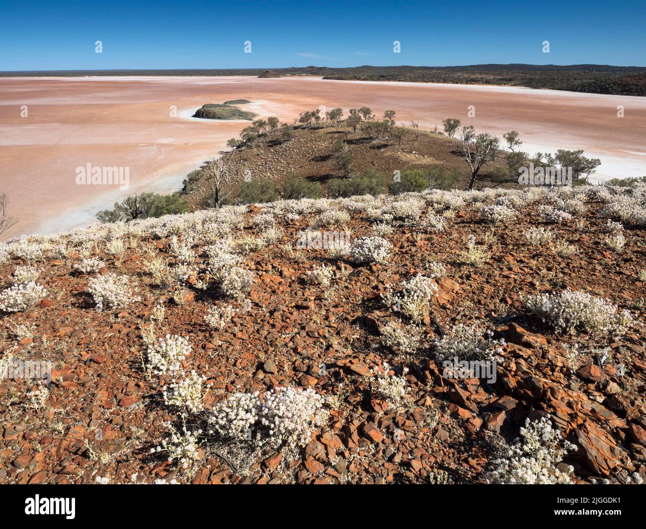 View of the minimalist, empty expanse of dry Lake Ballard (famous for ...