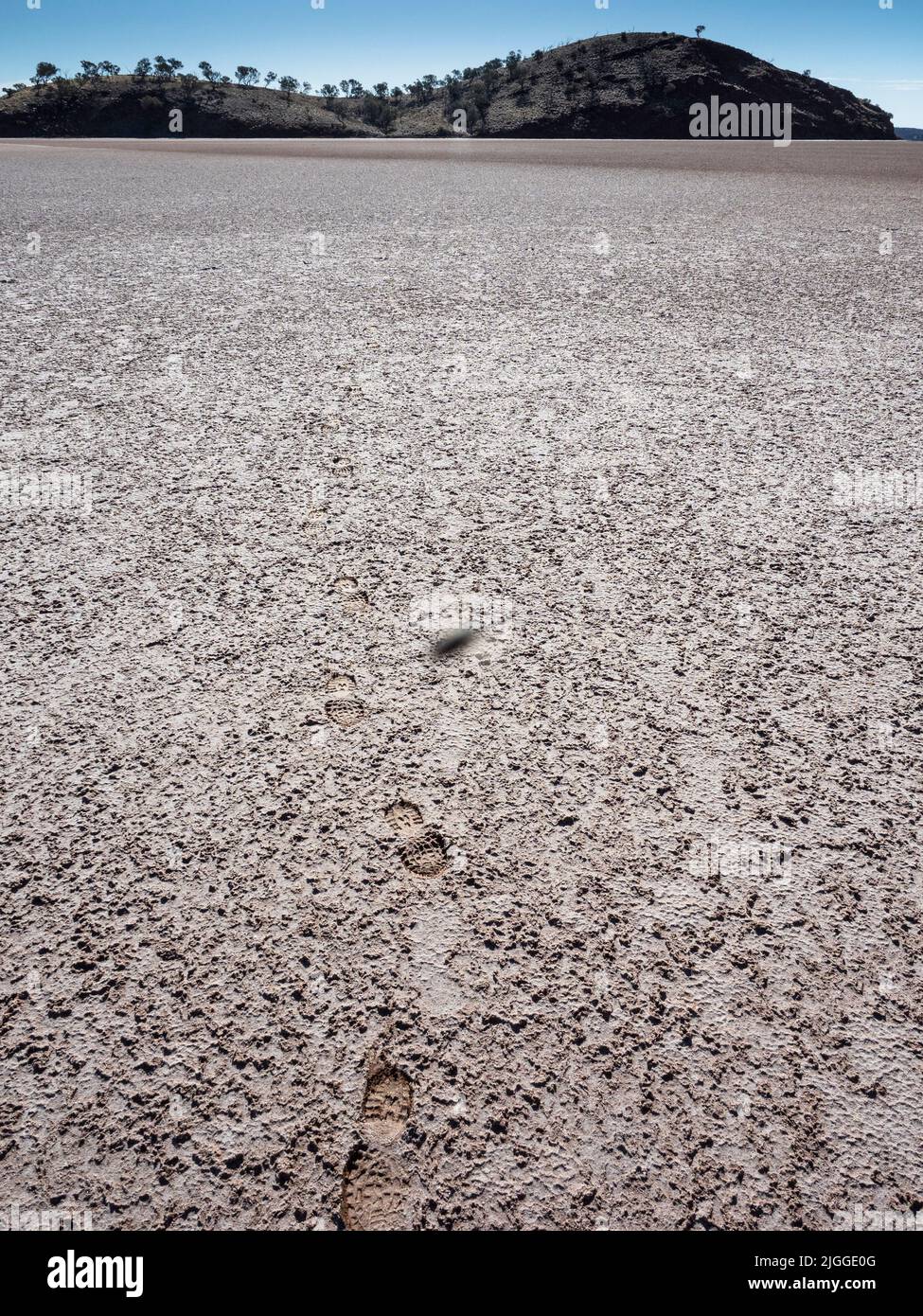 Footprints and tracks in the salt crust and red mud of Lake Ballard ...