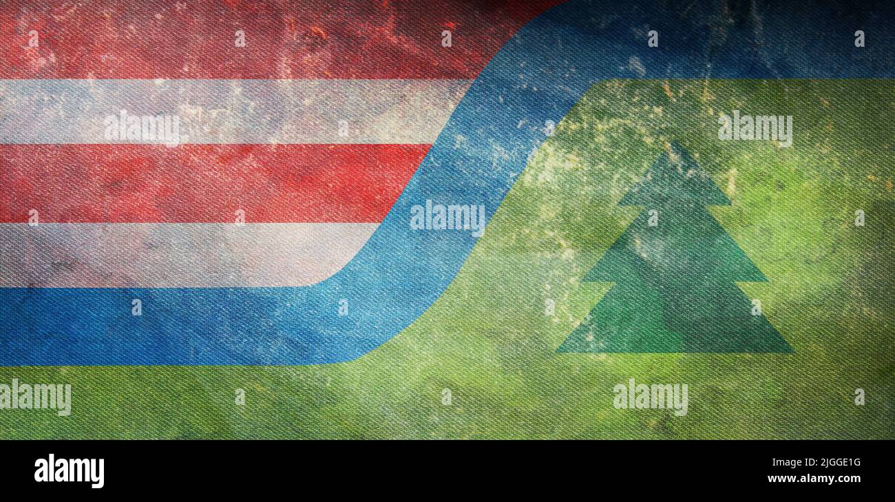 Top view of retro flag Nisko, Poland with grunge texture. Polish travel ...
