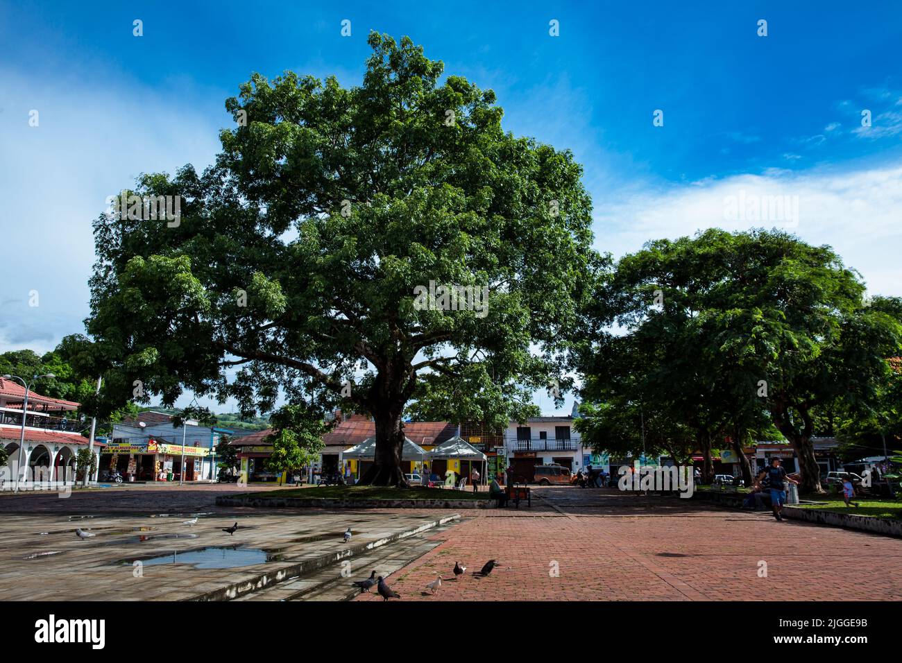 MARIQUITA, COLOMBIA - MAY, 2022: Jose Celestino Mutis square in ...