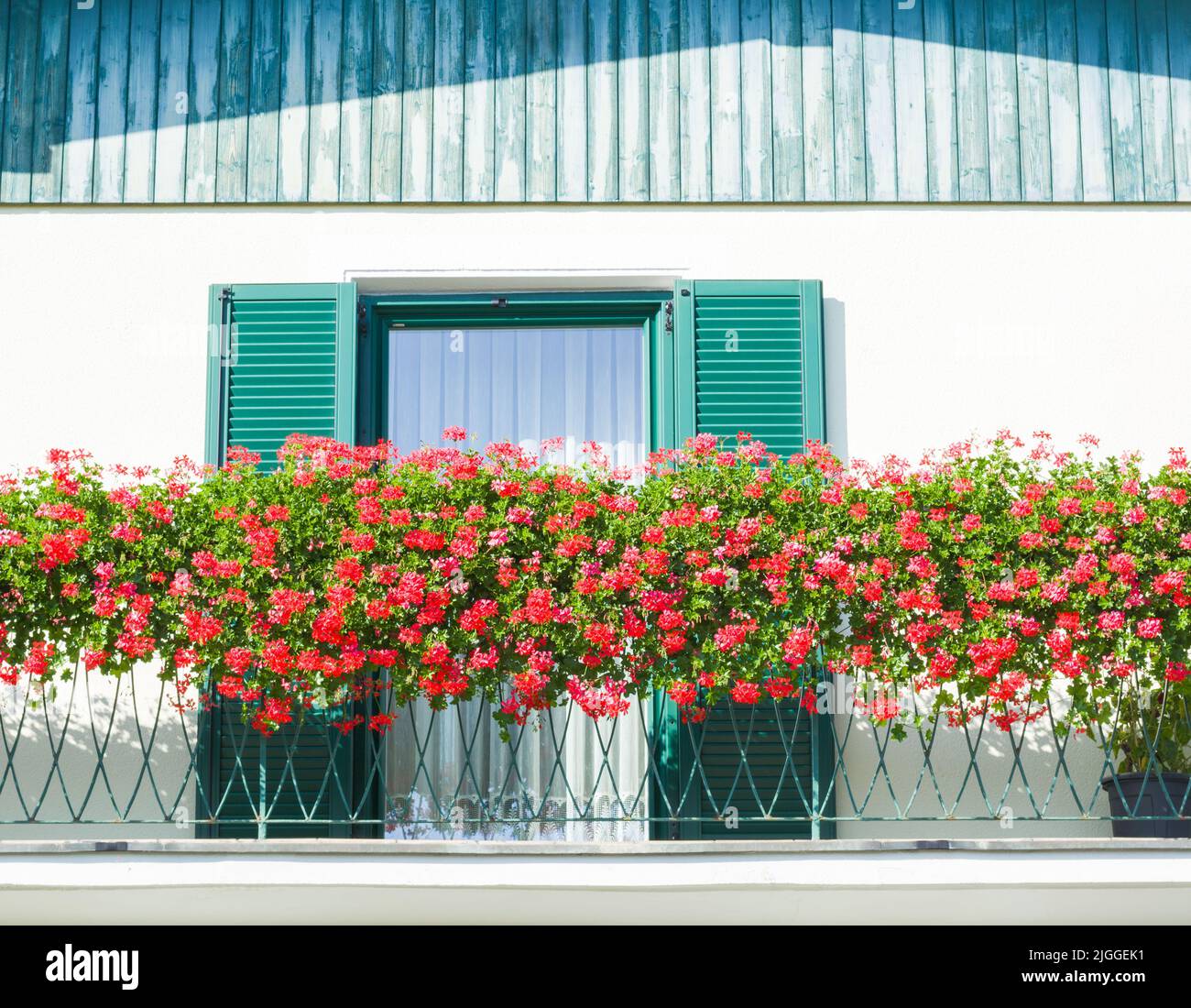 View with red balcony flowers, window and green shutters in horizontal ...