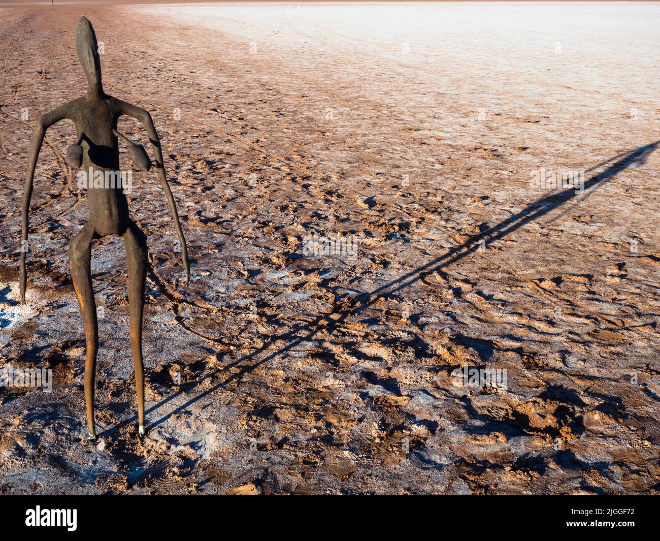 One of the Lake Ballard. "Salt People" - 51 metal-alloy sculptures by ...