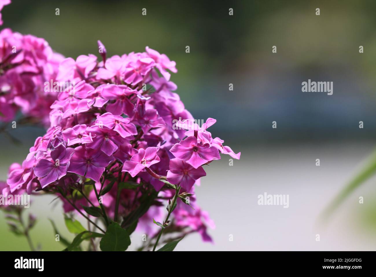 Halifax in the summer time Stock Photo - Alamy
