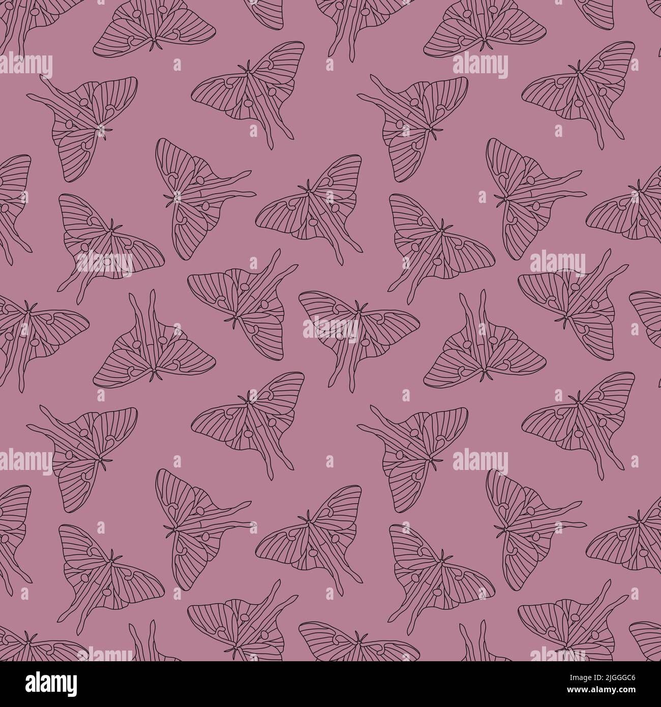 Luna moth seamless butterfly pattern for fabrics and wrapping paper and ...