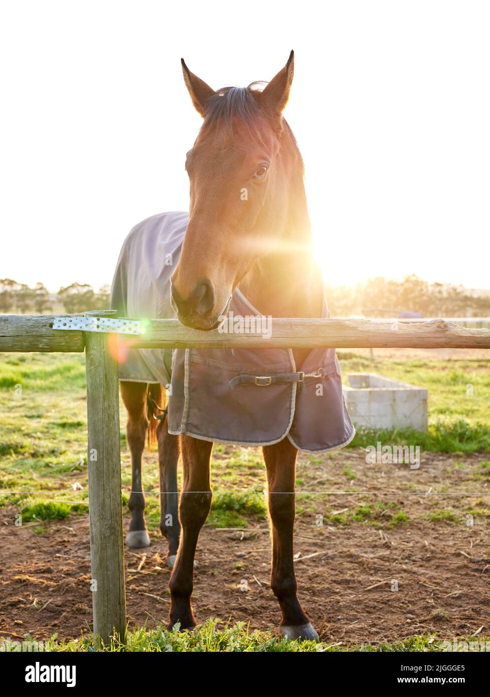 Pasture blanket hi-res stock photography and images - Alamy
