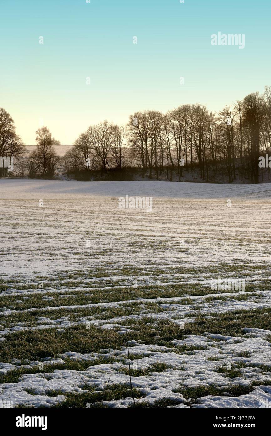Danish winter landscape. A photo of a winter landscape at sunset Stock ...