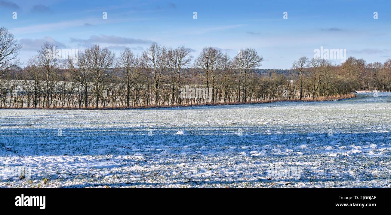 Danish winter landscape. A photo of a winter landscape at sunset Stock ...