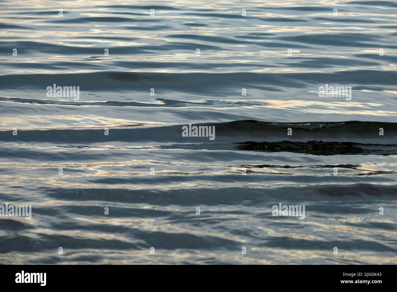Tropical sea. Summer sand beach and ocean background Stock Photo - Alamy