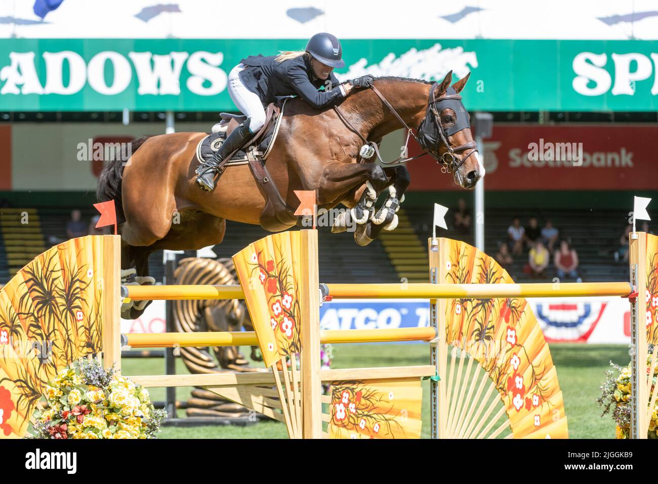 Calgary, Alberta, Canada, 2022-07-09, Katie Laurie (AUS) riding Django II, Spruce Meadows ...