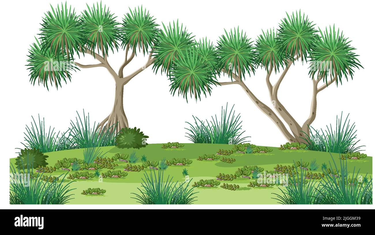 Isolated forest landscape on white background illustration Stock Vector ...