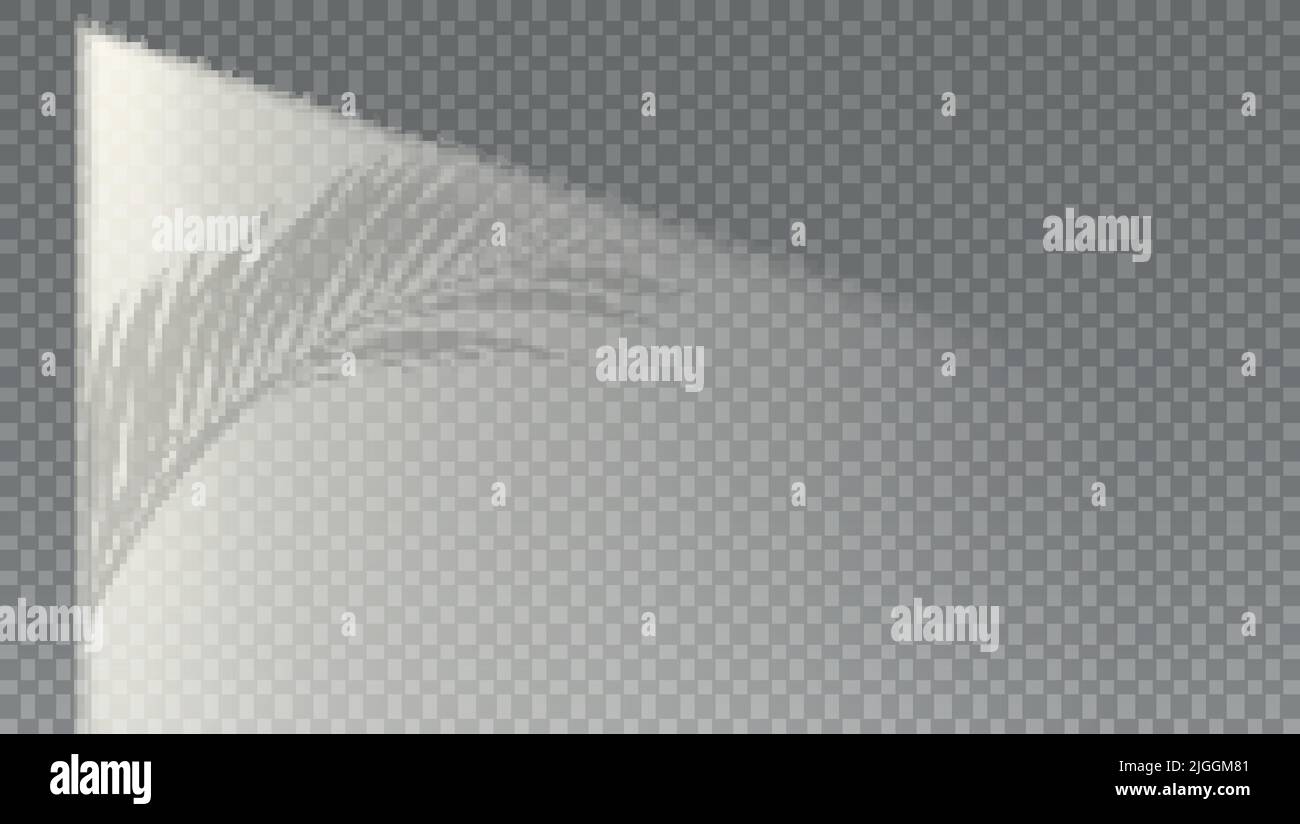 Palm shadow on empty Stock Vector Images - Alamy