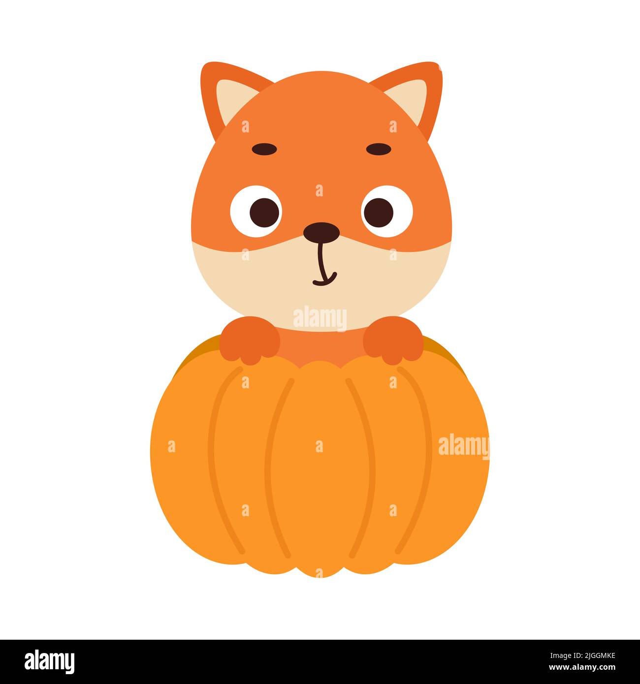 Cute little fox sitting in a pumpkin. Cartoon animal character for kids ...