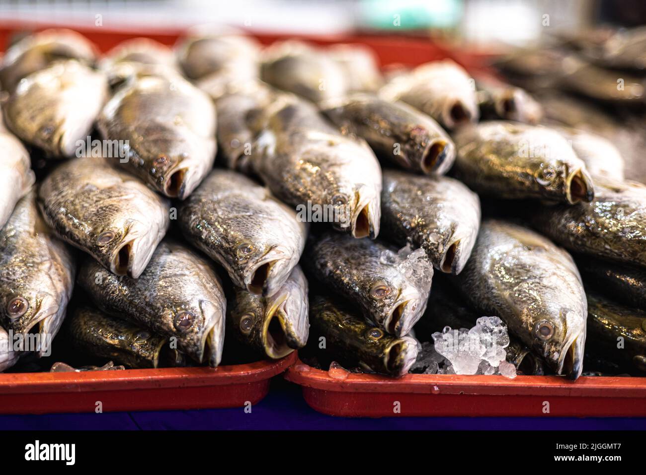 Silver flat fish sea hi-res stock photography and images - Alamy