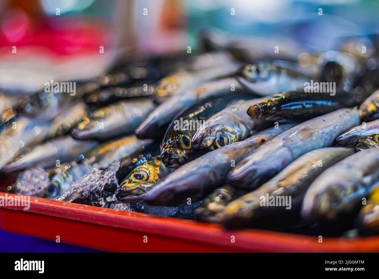 Silver flat fish sea hi-res stock photography and images - Alamy