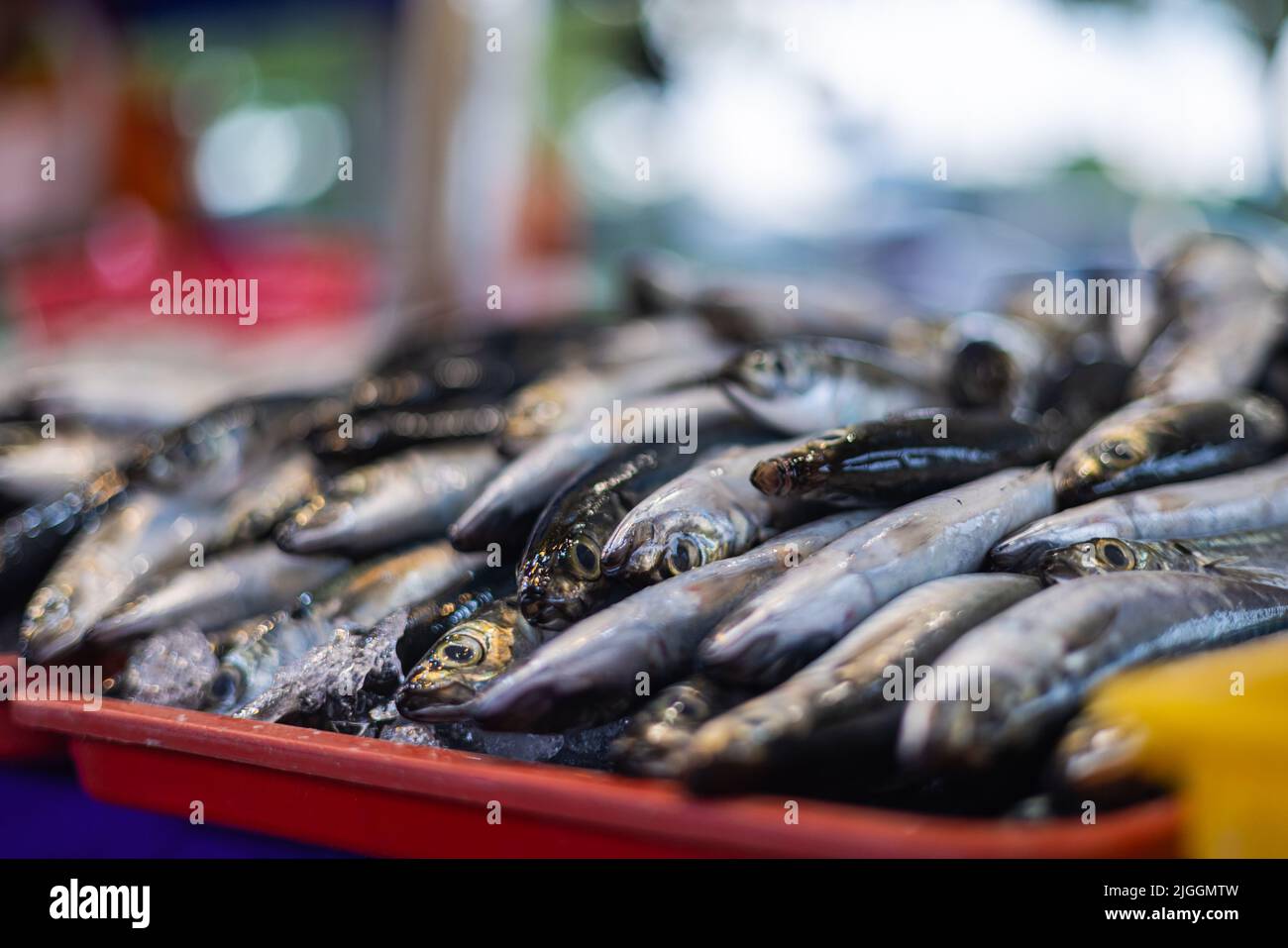 Freshly caught fish on the counter of a fishmonger in Kuala Lumpur ...