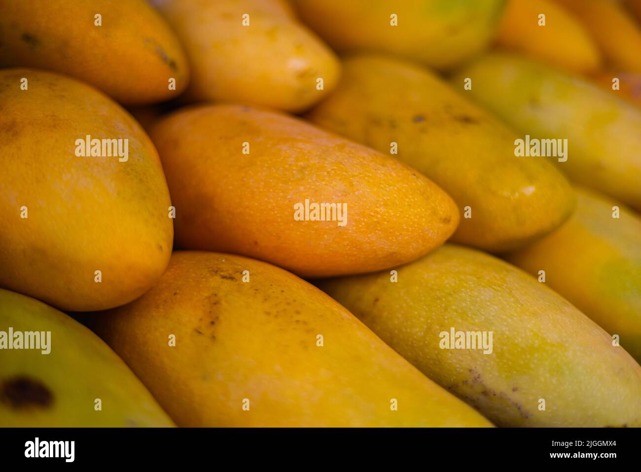 Bunch of fresh yellow mango fruits on a counter on a food market stall ...