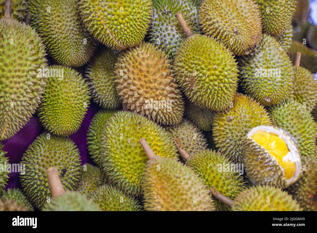 A stack of durians at a fresh market in the Malaysian capital of Kuala ...