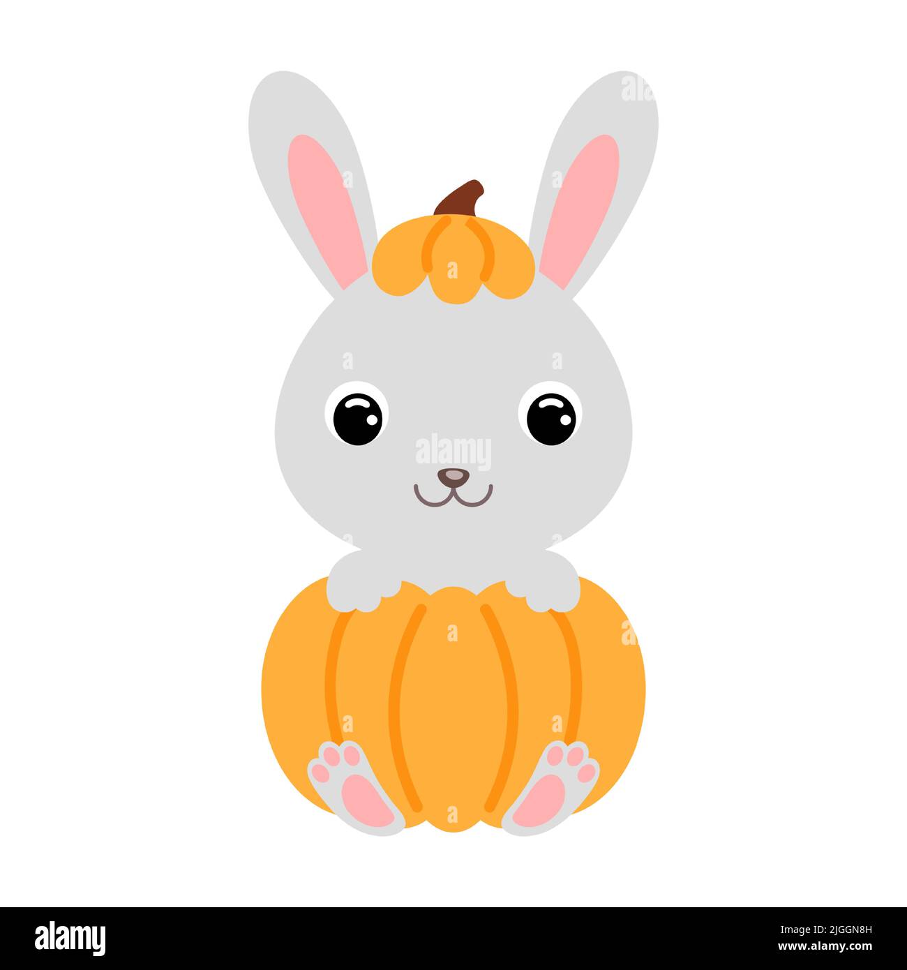 Cute little rabbit sitting in a pumpkin. Cartoon animal character for ...