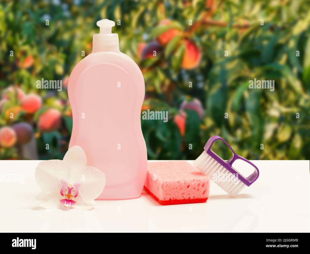 Bottle of washing liquid, a sponge and a plastic brush with a peach ...