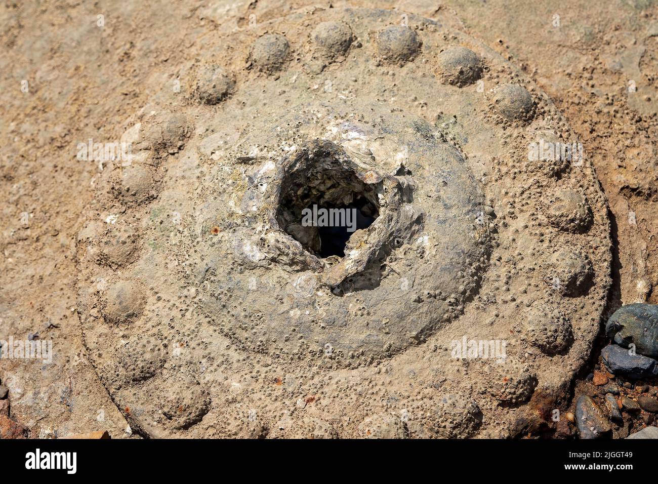 Texture from a rusty culvert pipe. Pipe was on a gravel road towards ...