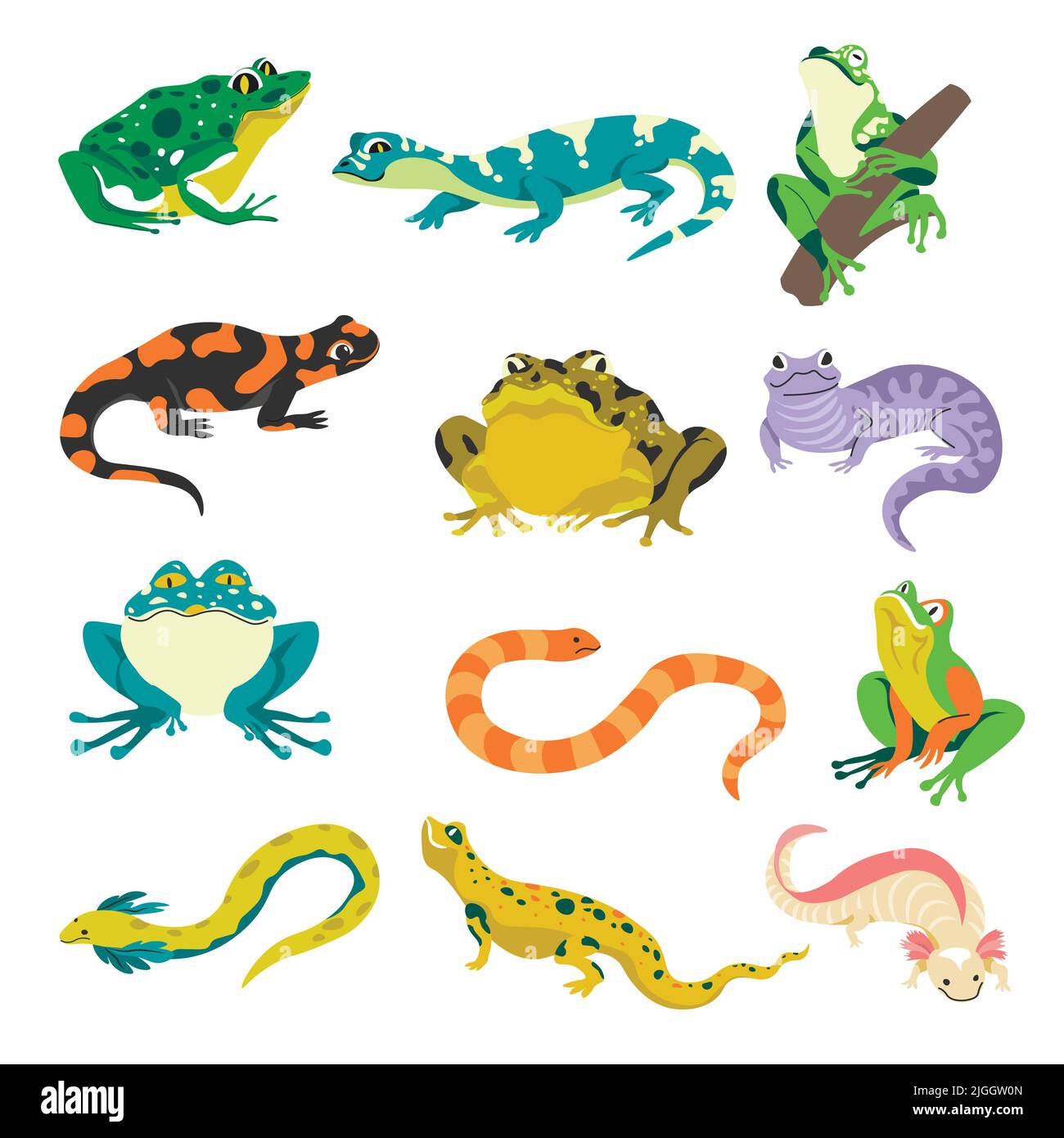 Amphibians snakes and lizards, frogs and iguana Stock Vector Image ...