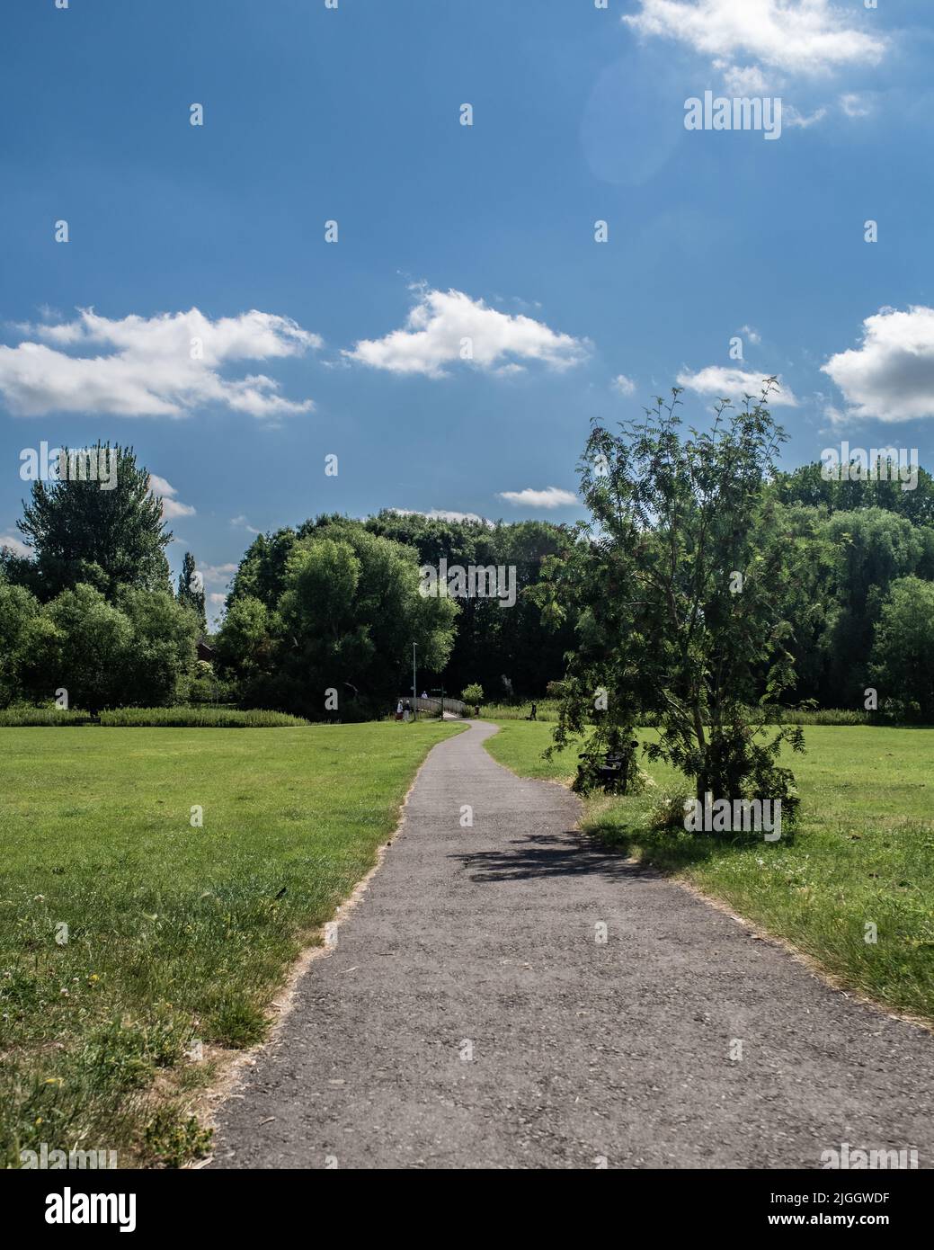 Nantwich Mill Island pathway sunny day portrait, Cheshire Stock Photo ...