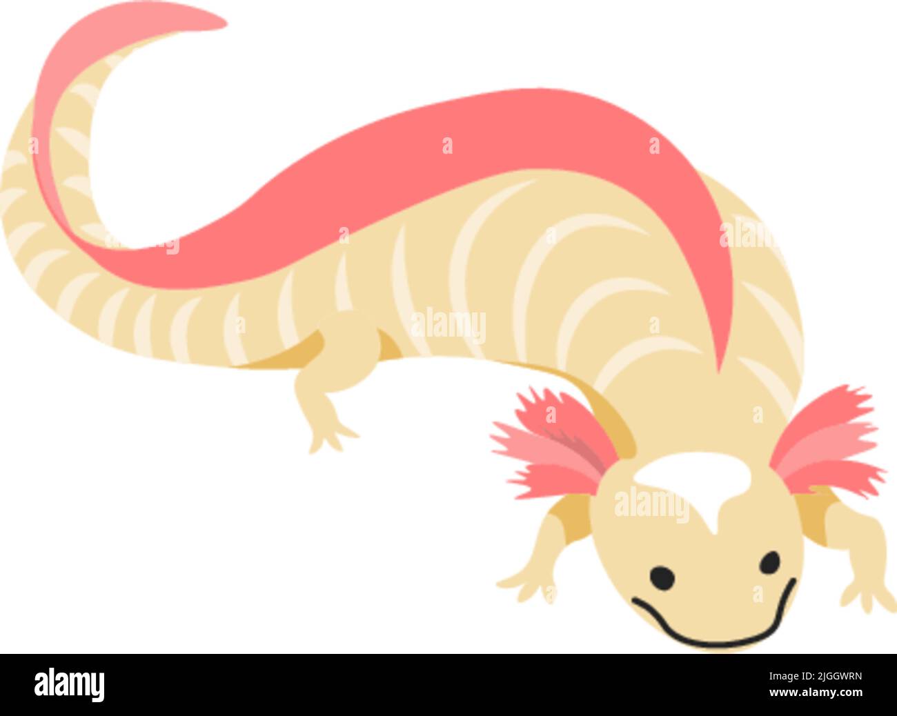 Varan or iguana reptile animal exotic fauna pet Stock Vector Image ...