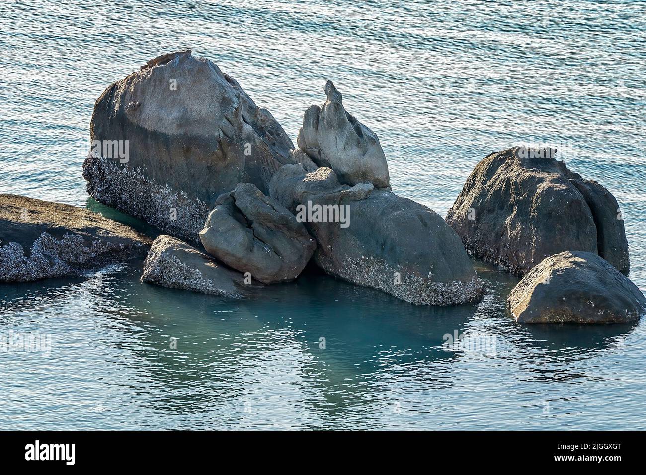Large rocks protruding from the sea covered with oyster shells Stock ...