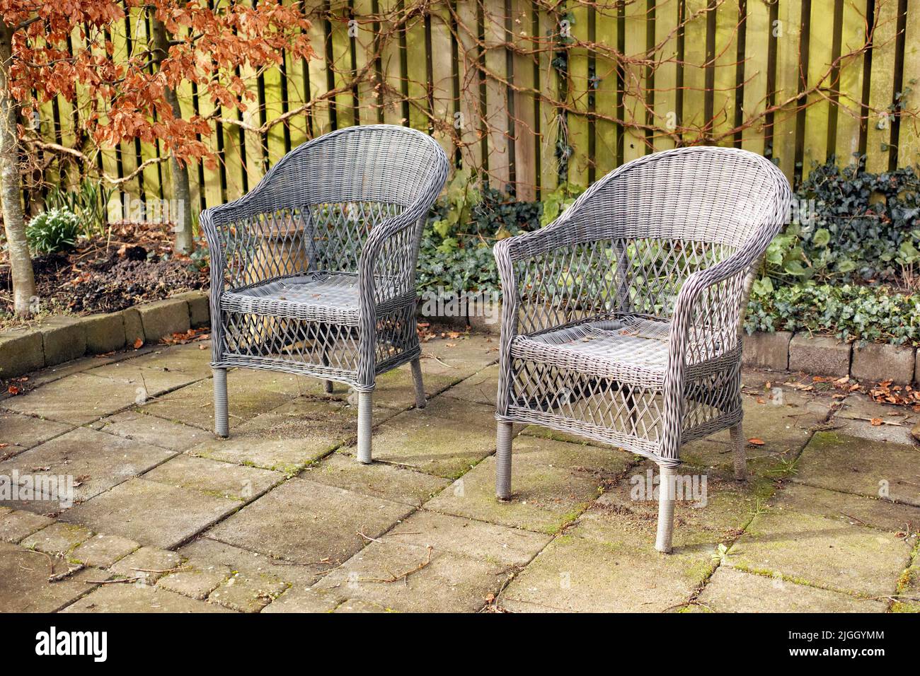 Beautiful flowers from my garden. A series of beautiful garden photos ...