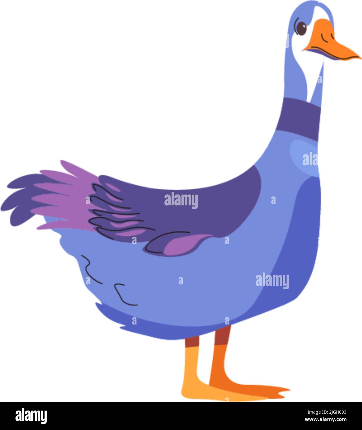 Duck farm or domestic animal, duckling vector Stock Vector Image & Art ...