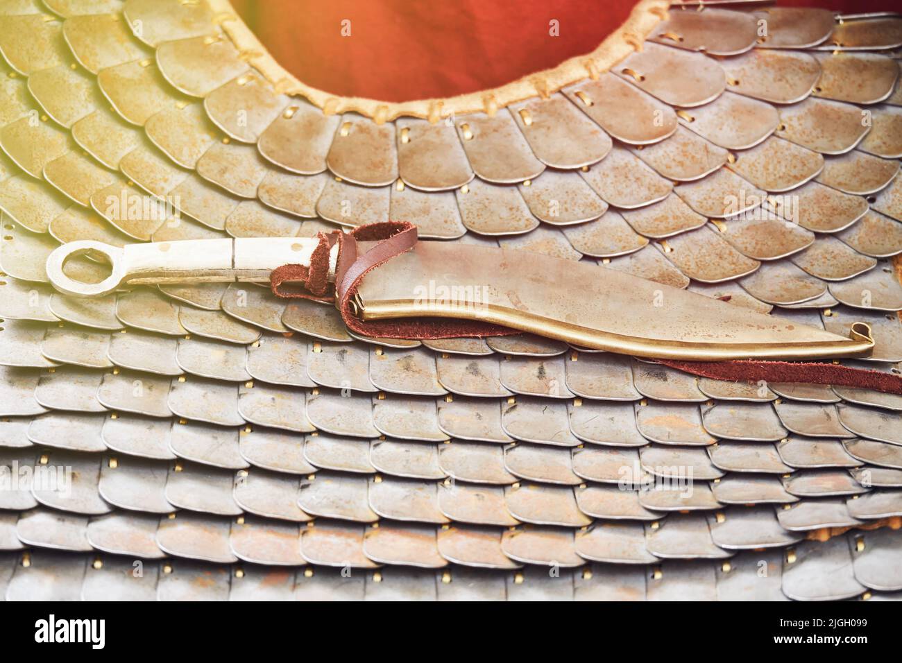 Structure of a fish scale hi-res stock photography and images - Alamy